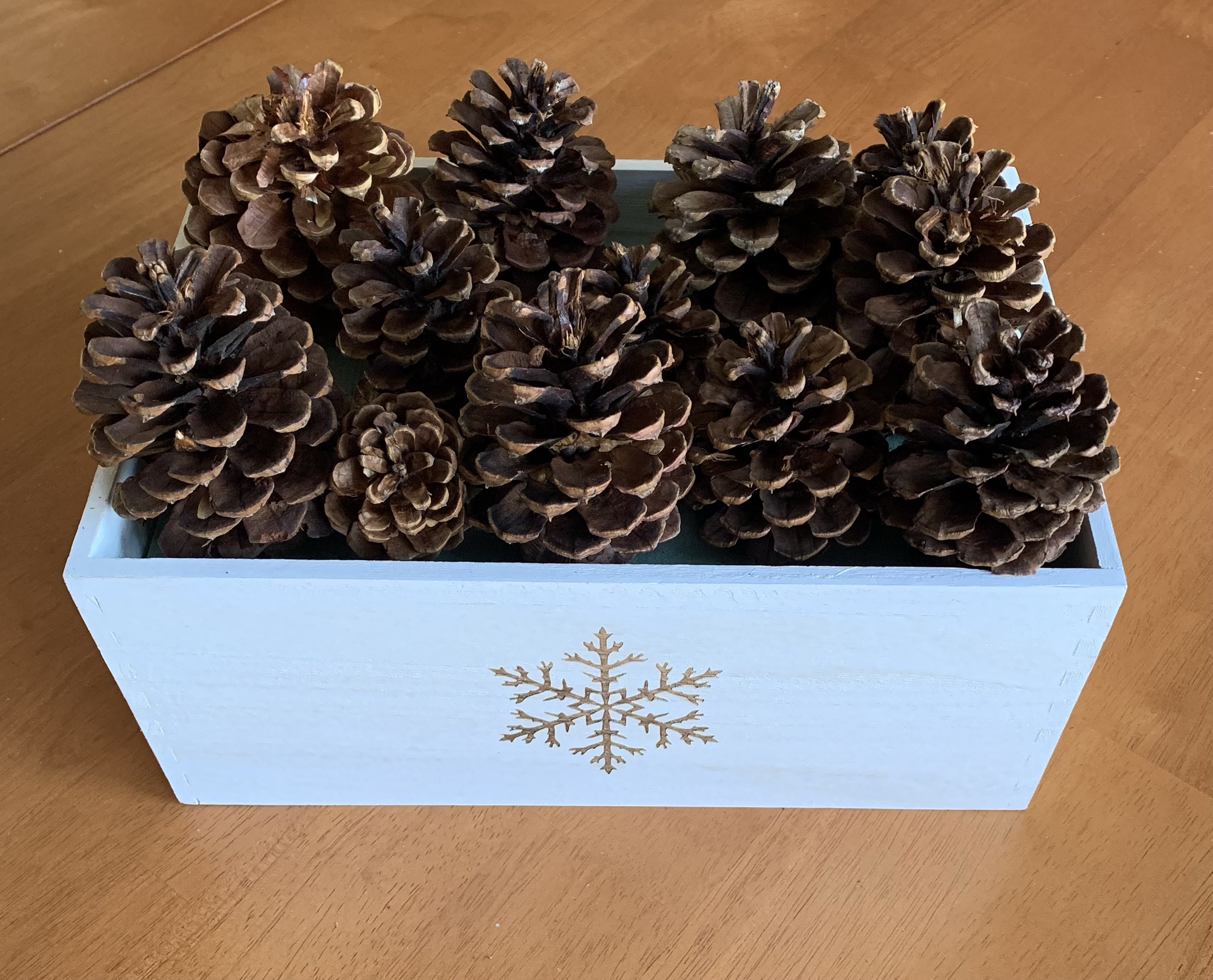 Winter Box with Lights – The Quaint Crafter
